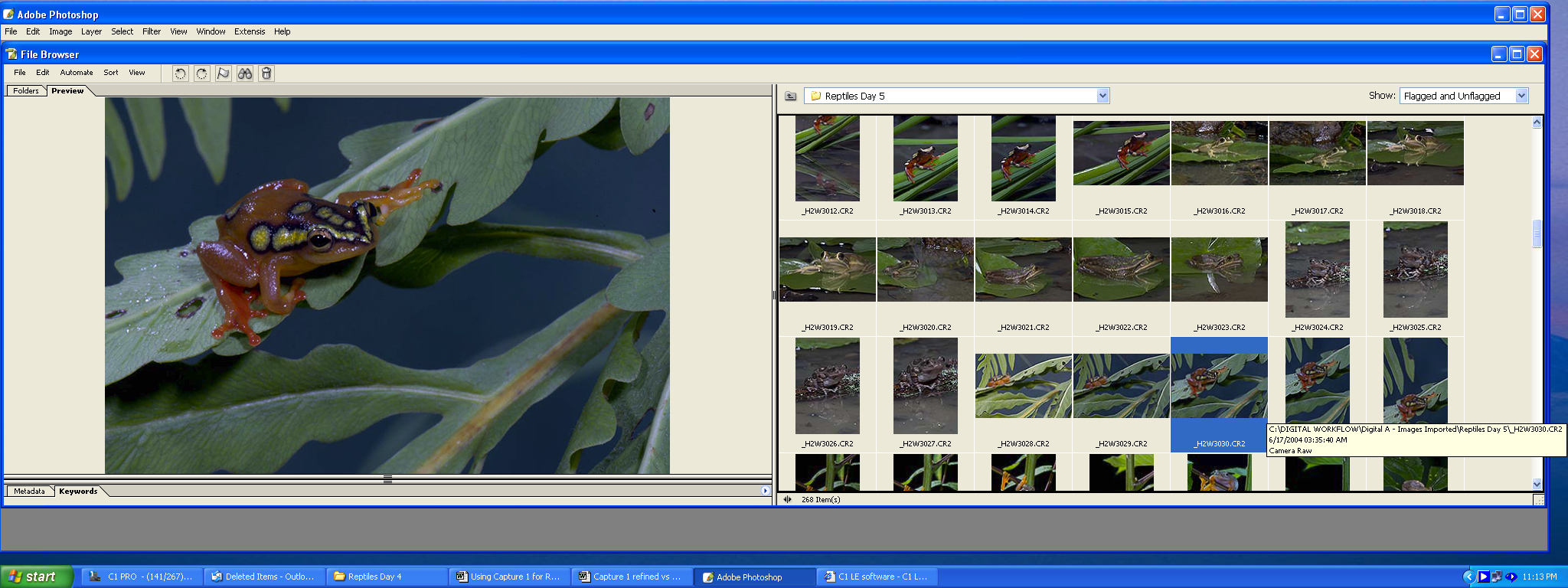 Editing in Capture One RAW Conversion Program